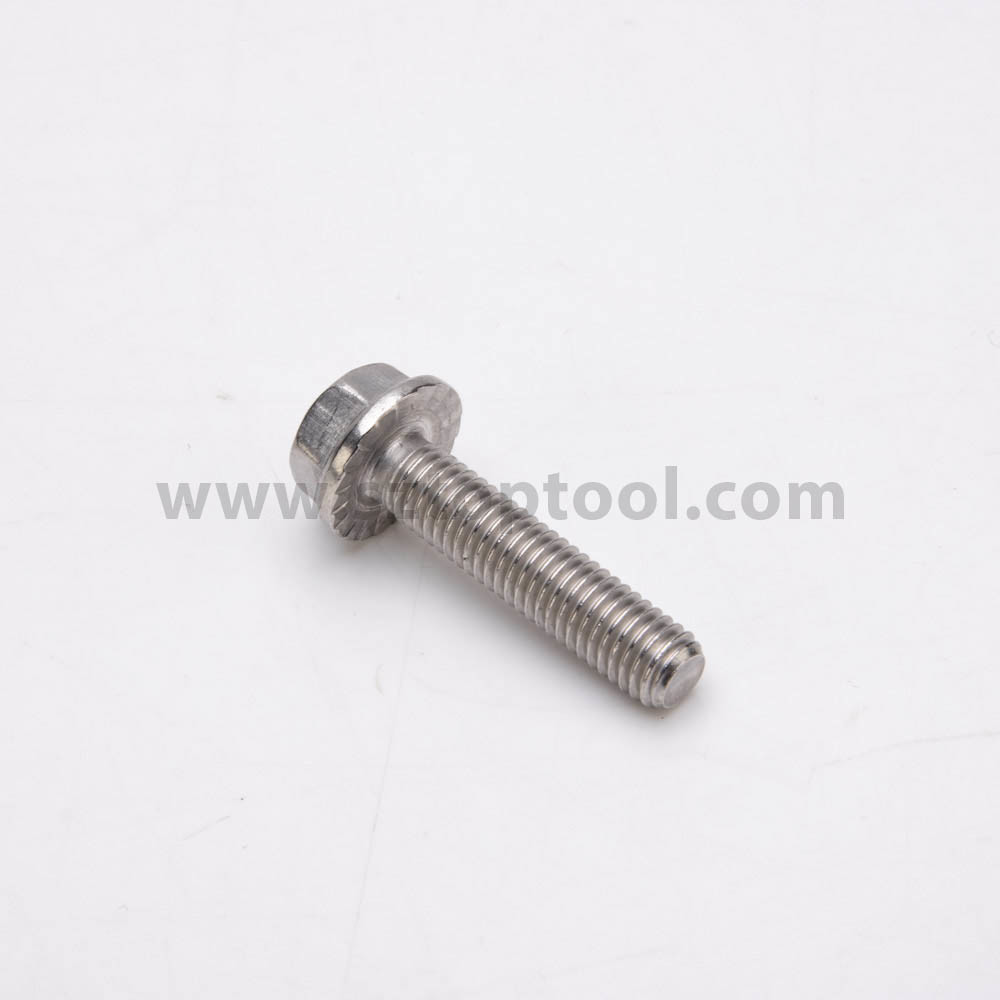 Special Stainless Hexagon Flange Bolt With Serration Flanged Hex Head Bolt